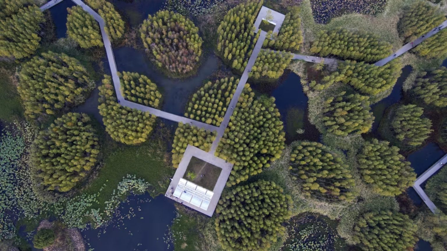 La « ville éponge », un modèle urbain résilient et vert - Urbanisme ...