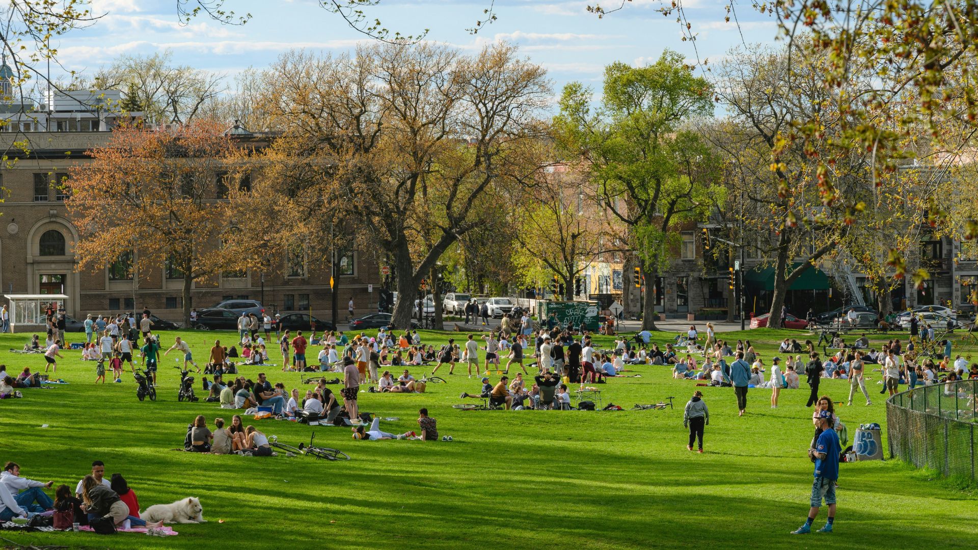 Tout savoir sur les parcs éponges 🧽 - Urbanisme Francophonie